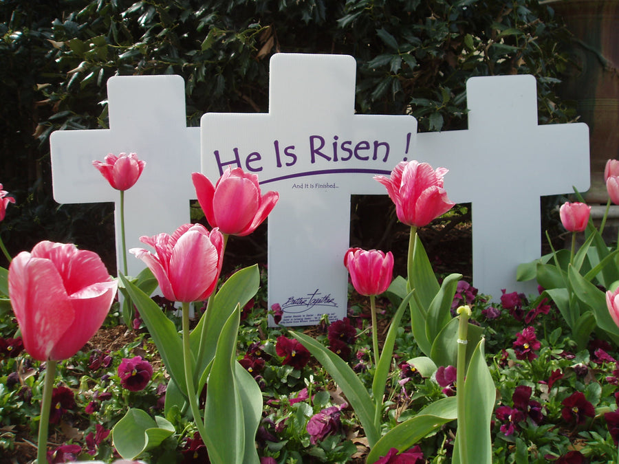 Fast Facts – Easter Cross Witness